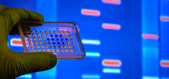 Gen an, Gen aus - neue Erkenntnisse in der Epigenetik