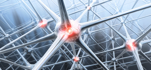 Die Voxel-Guided Morphometry (VGM) des Gehirns bei Multipler Sklerose